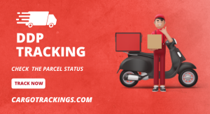 DDP Tracking - Cargo Trackings